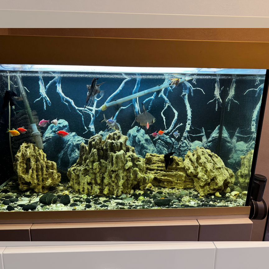 Аквариум с тумбой белый