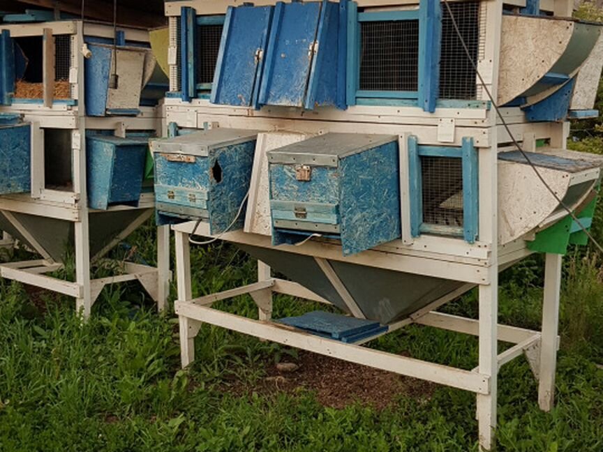 Клетки для кроликов б\у