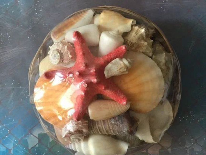 Ракушки с моря