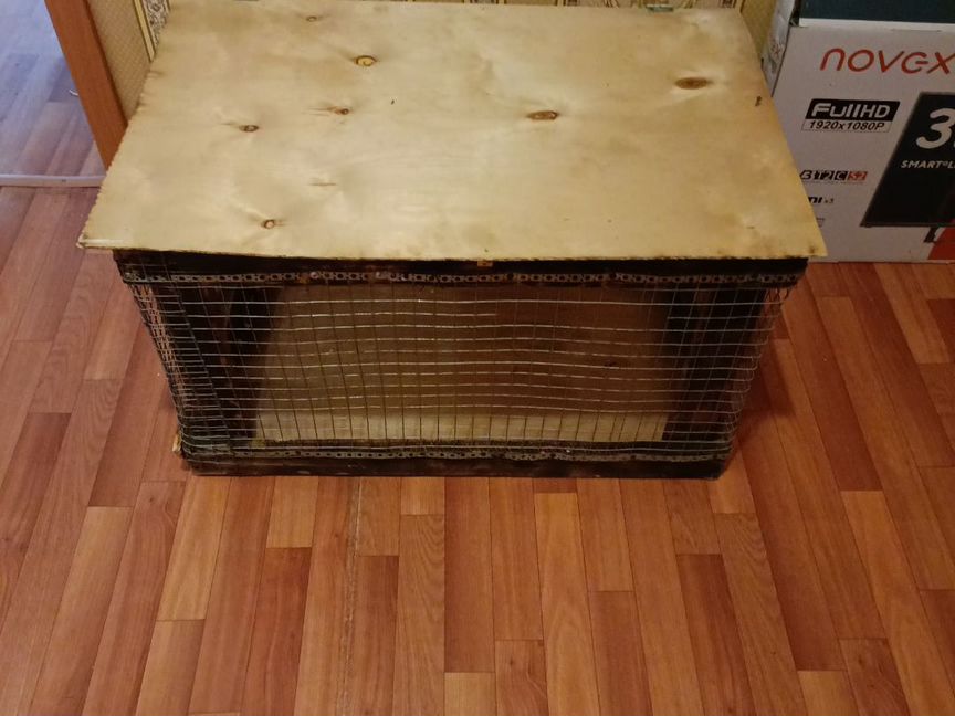 Ящик для хомяка