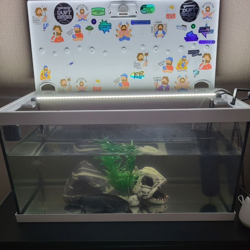 Аквариум