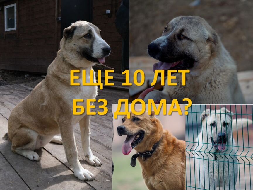 Еще 10 лет без дома, семья - где ты