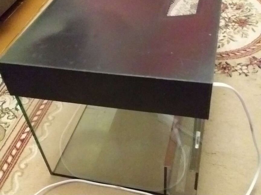 Террариум для сухопутной черепахи