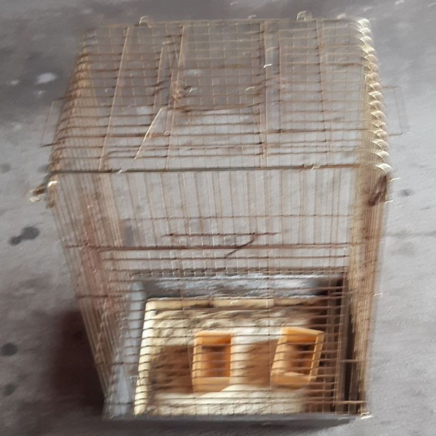 Собачка В клетке для птиц