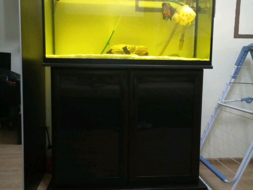 Аквариум вместе с тумбой