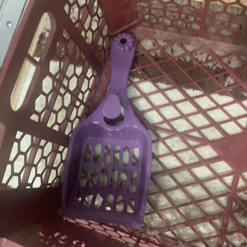 Совок для кошек