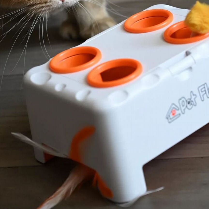 Игрушки для кошек, Pet Flat Magic Box