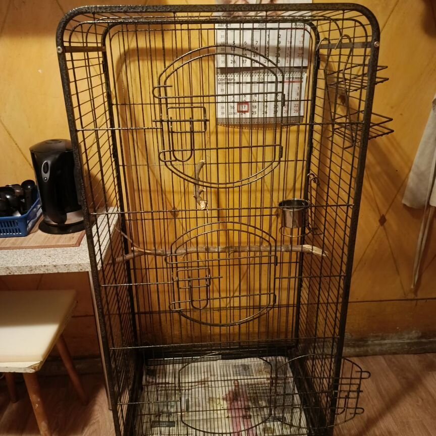 Большая клетка