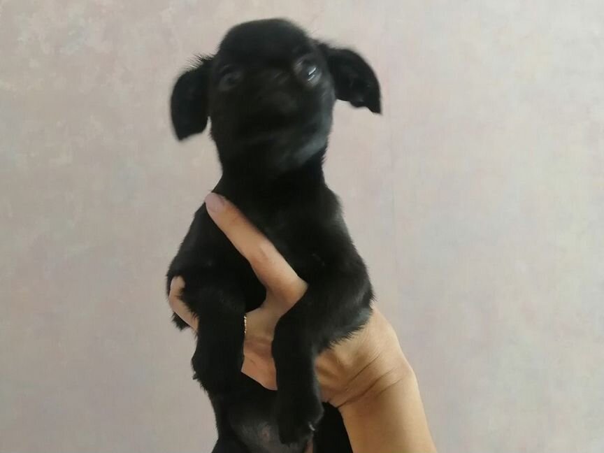 Милый мальчуган