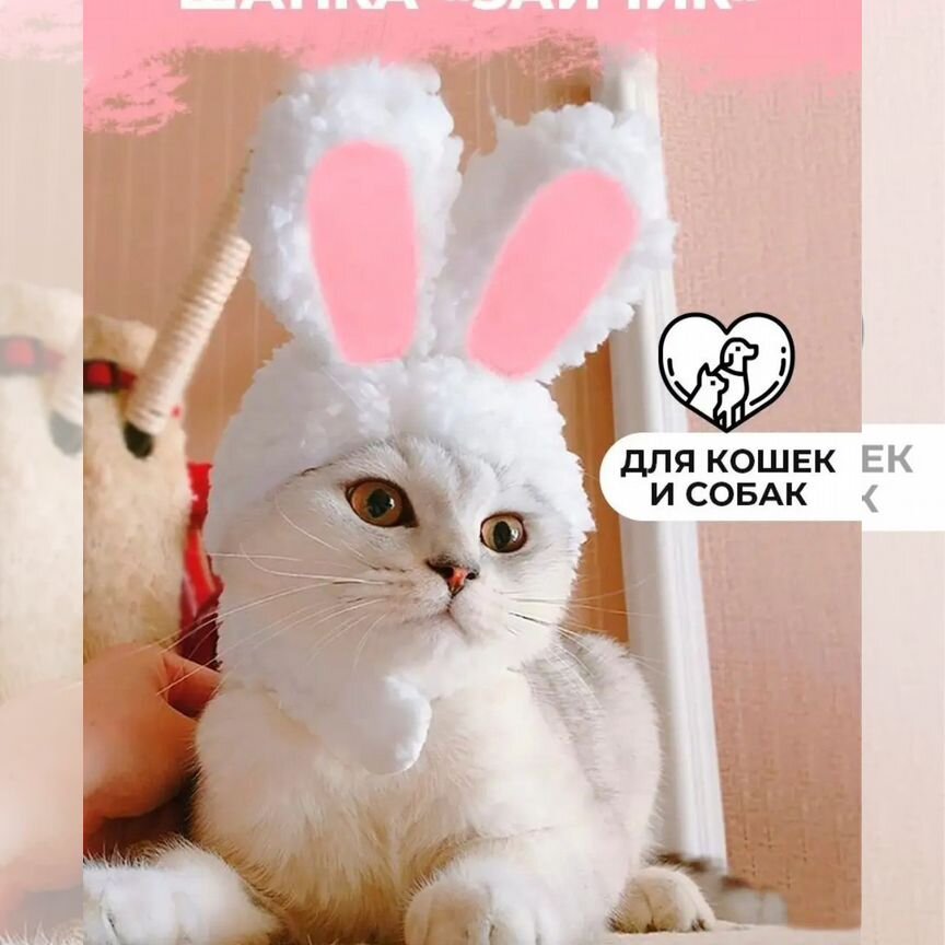 Шапка "Зайчик" для животных
