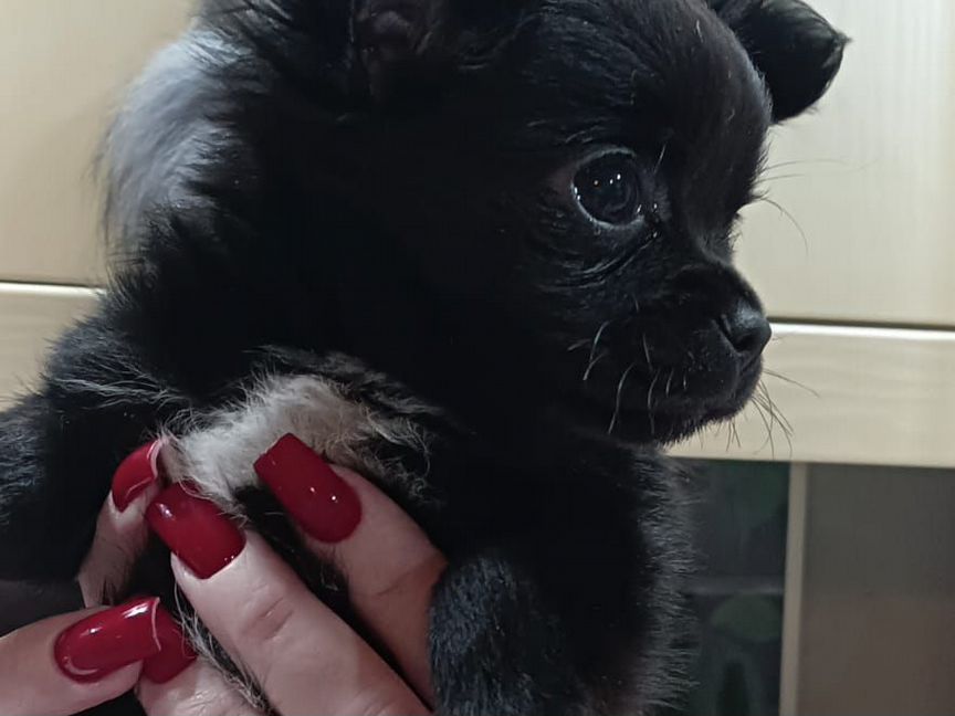 Черный уголёк, парень