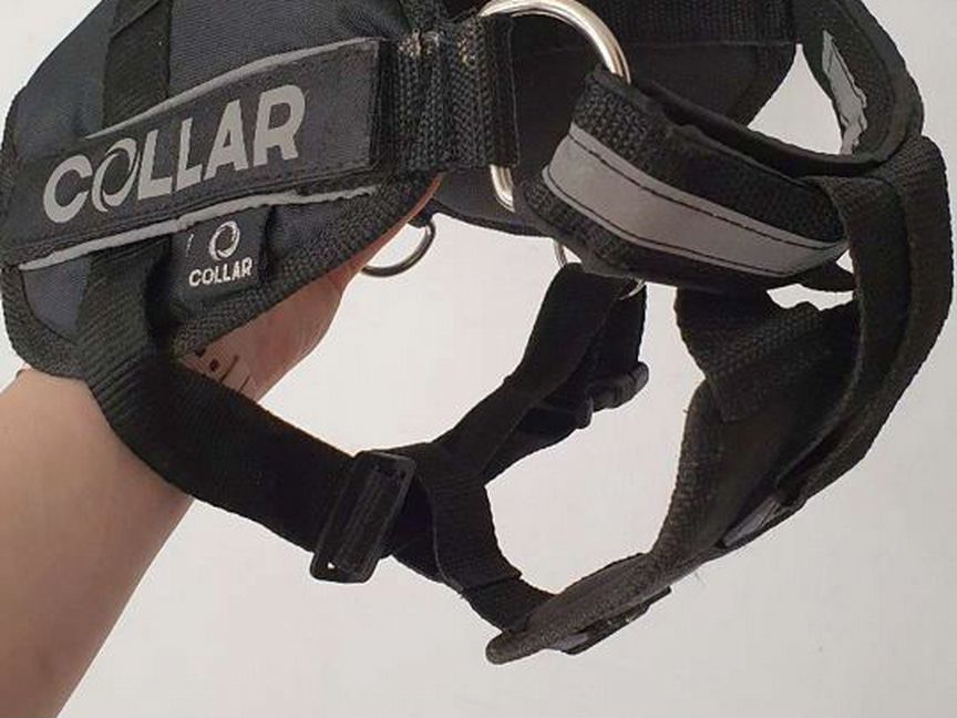 Collar Dog Extreme