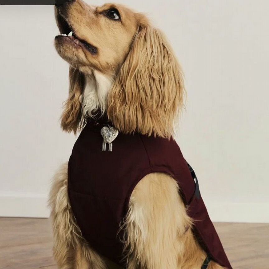 Куртка для собак Zarina x Rogov, M