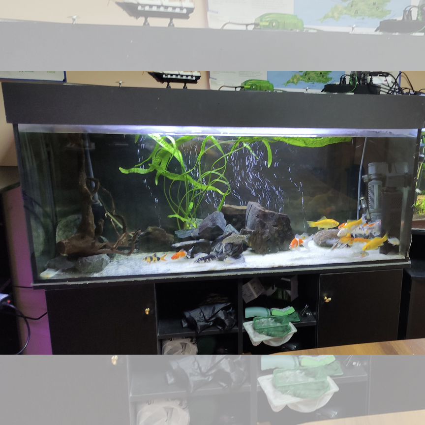 Аквариум 300л