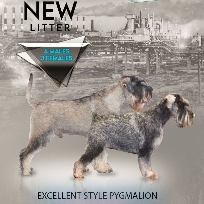 Открыто бронирование