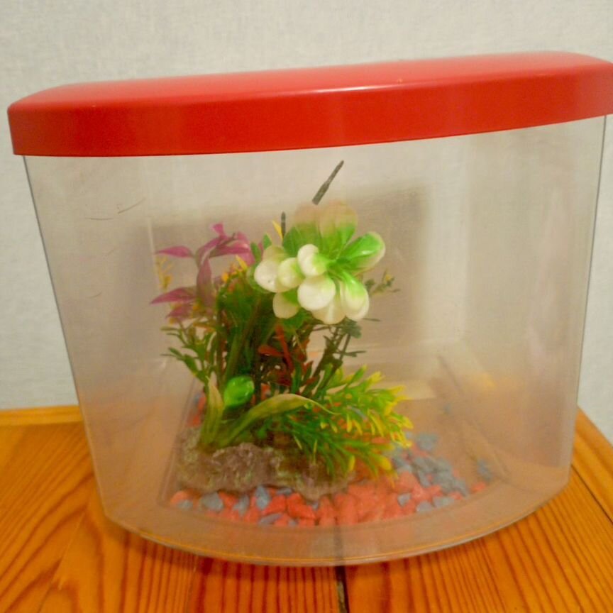 Аквариум маленький