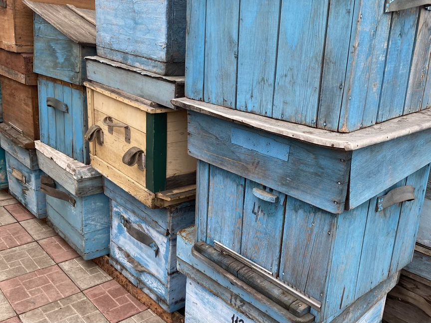 Продам пчелиные улики