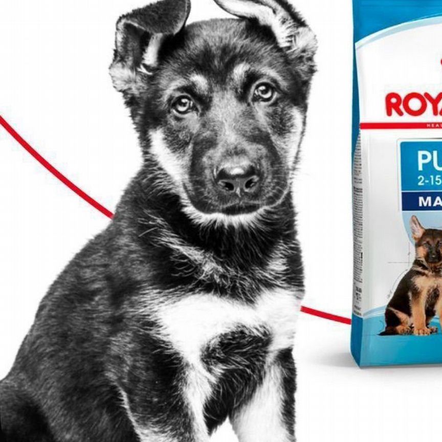 Корм для собак royal canin