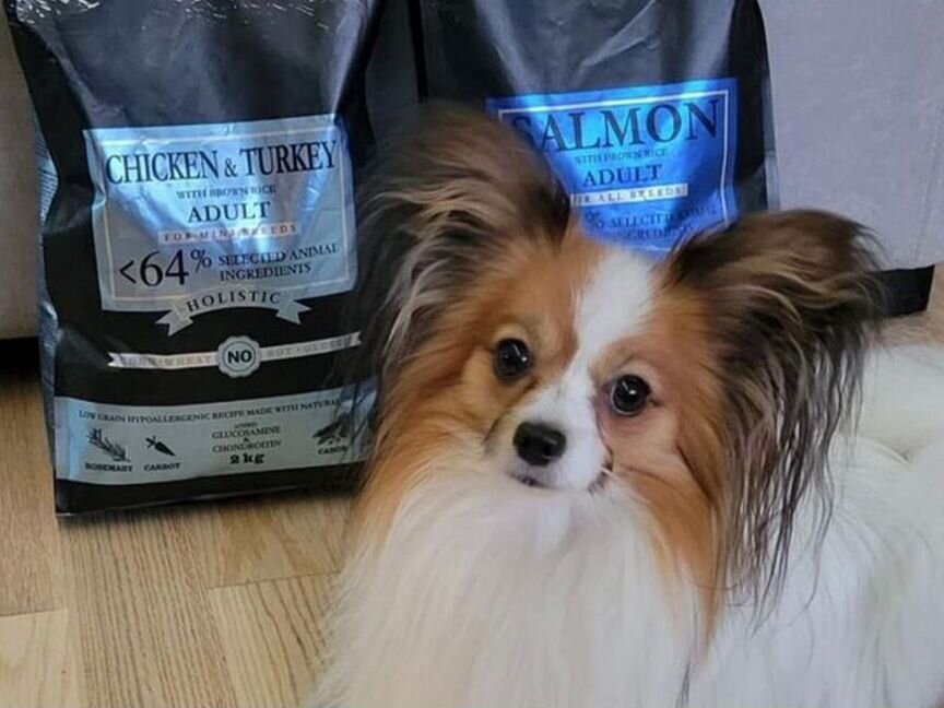 Корм для взрослых собак Black Olympus