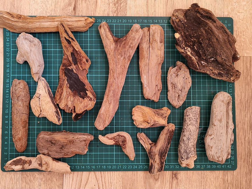 Коряги дрифтвуд