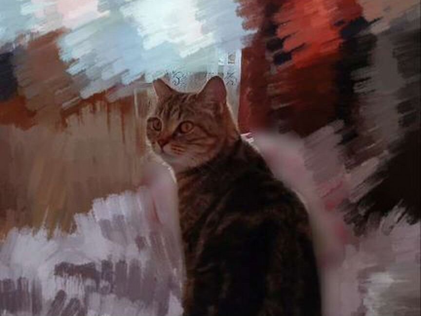 Кошка в дар