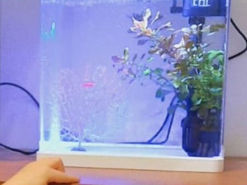 Аквариум 15 л с рыбами + доп.принадлежности