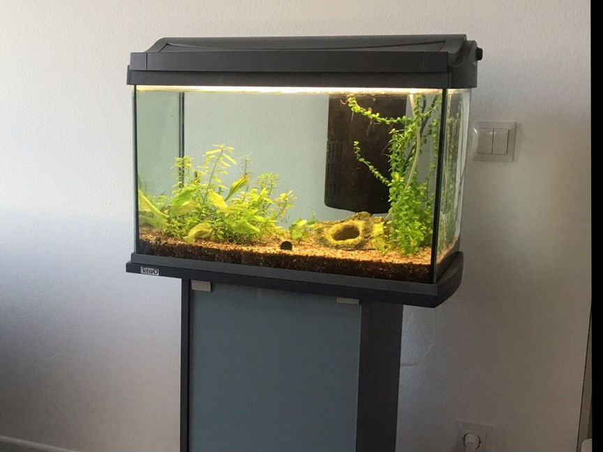 Аквариум с тумбой 60л Tetra