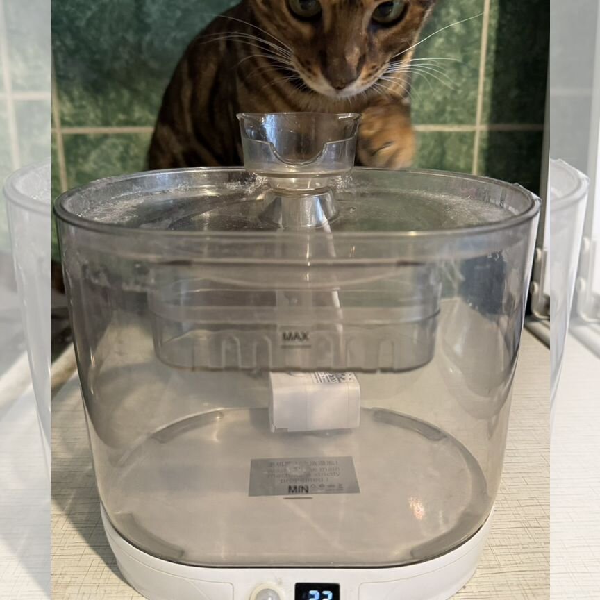 Умная поилка для кошек