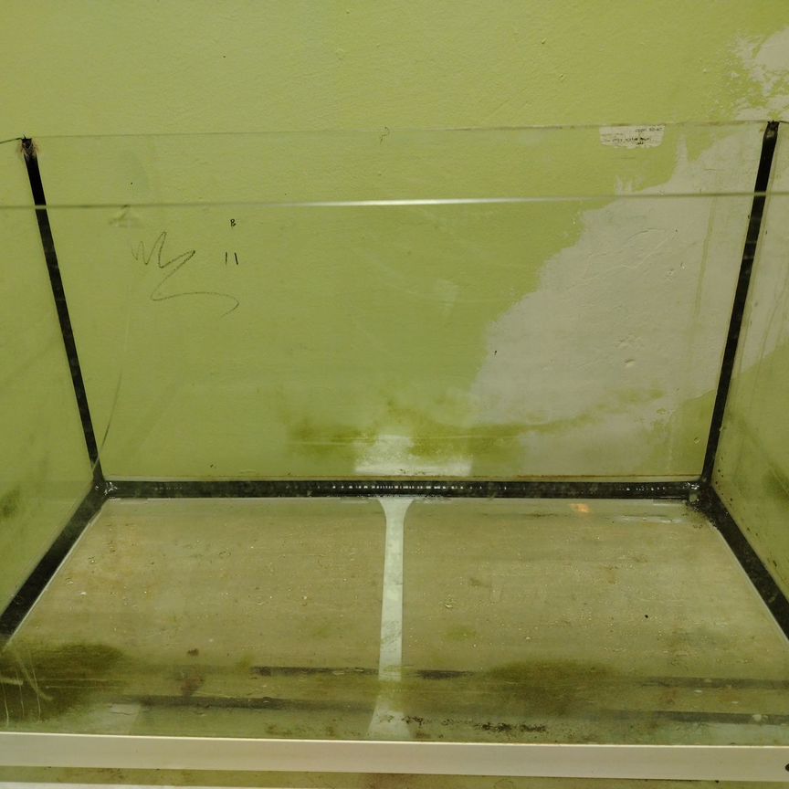 Аквариум 60л