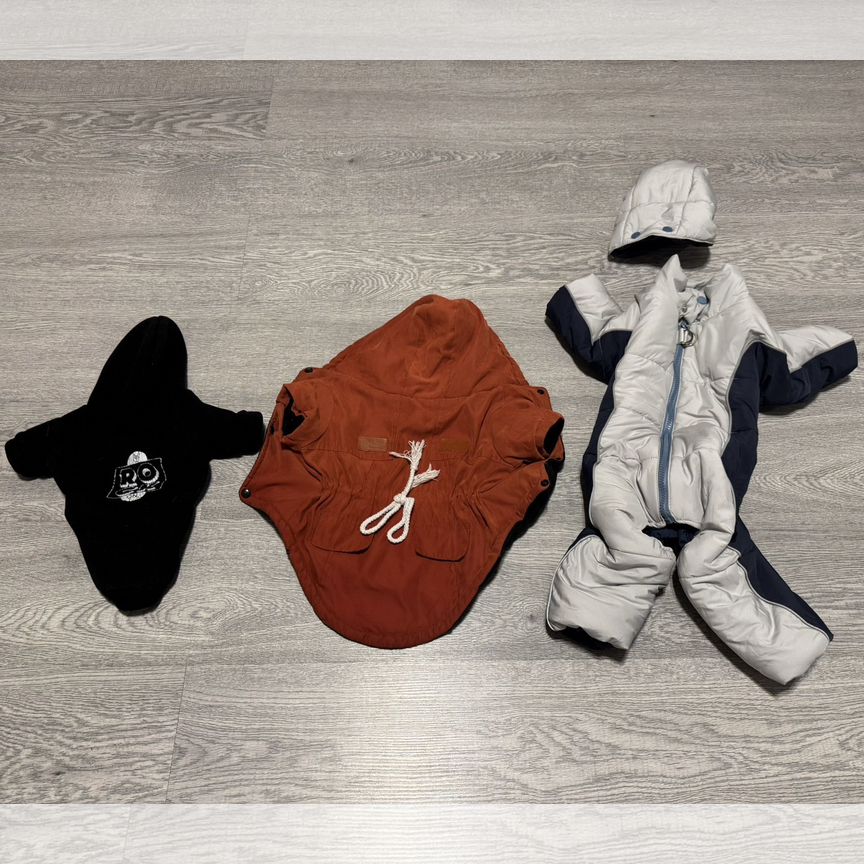 Одежда для собак