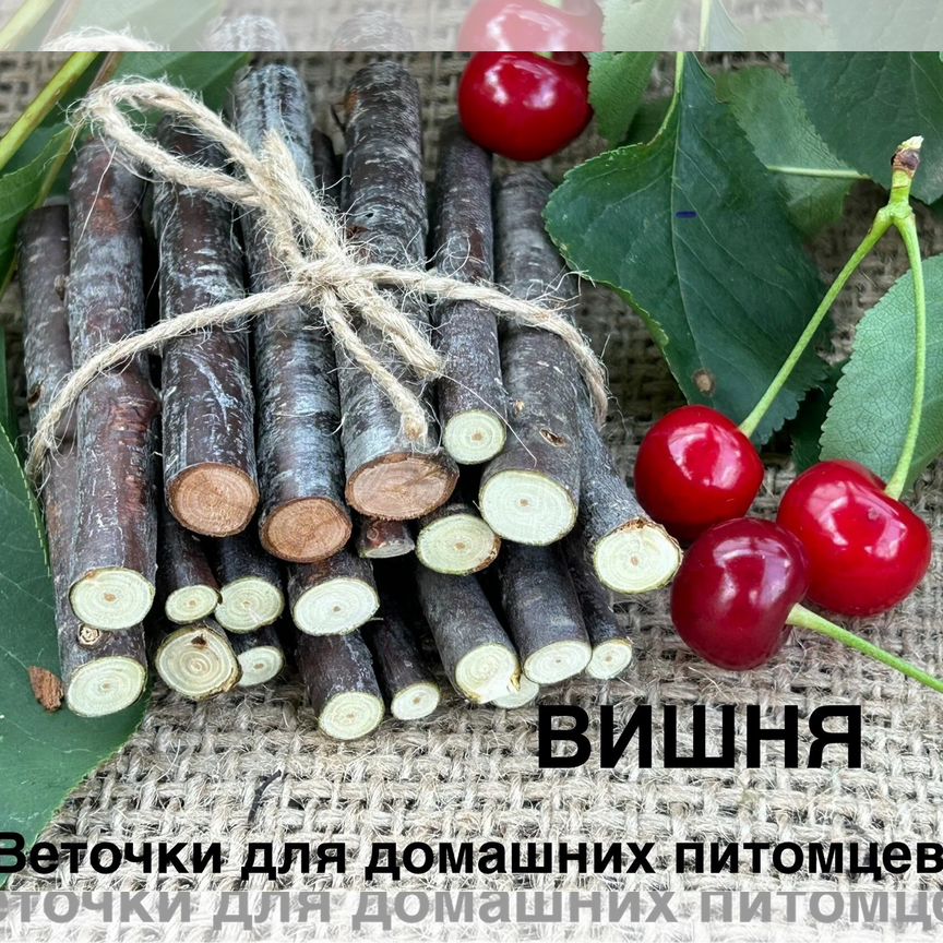 Палочки вишни для грызунов
