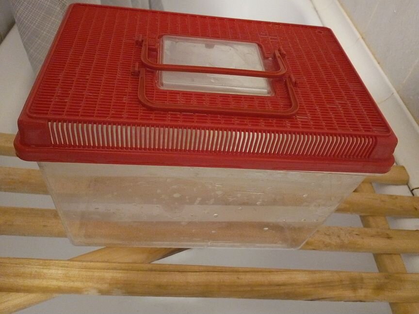 Аквариум террариум переноска