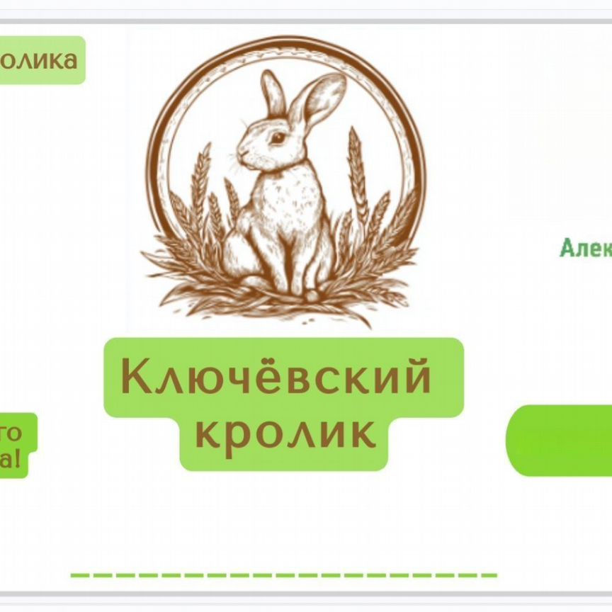 Отходы для собак, свиней
