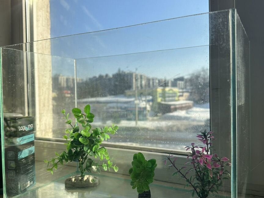 Аквариум
