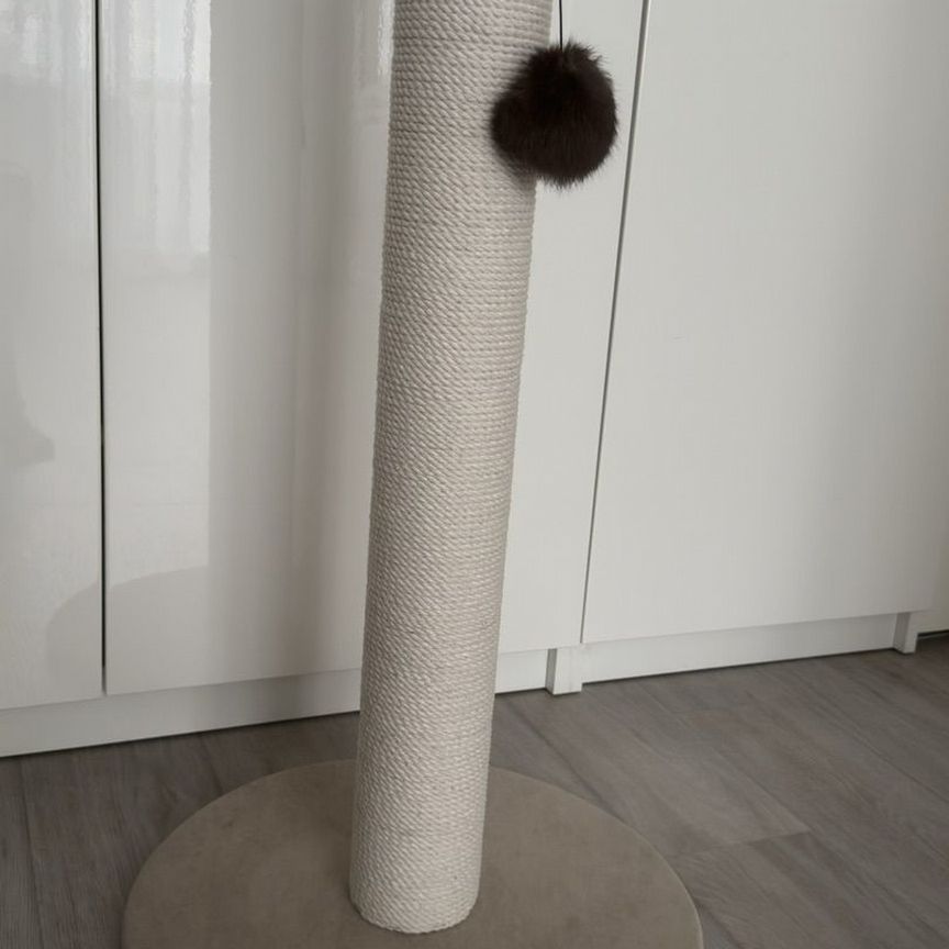 Когтеточка