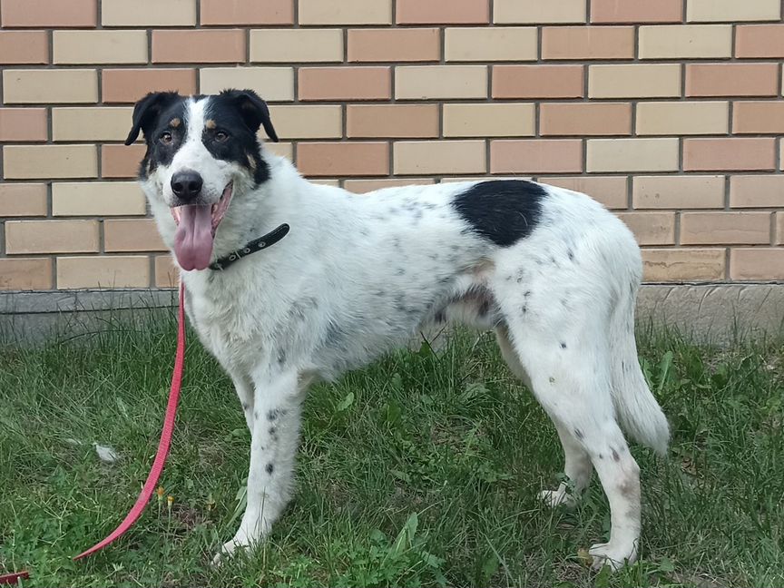 Джеку нужен человек