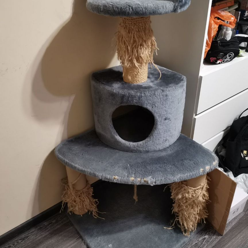 Когтеточка