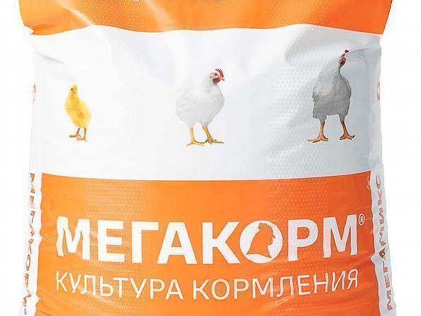 Комбикорм для кур несушек старт