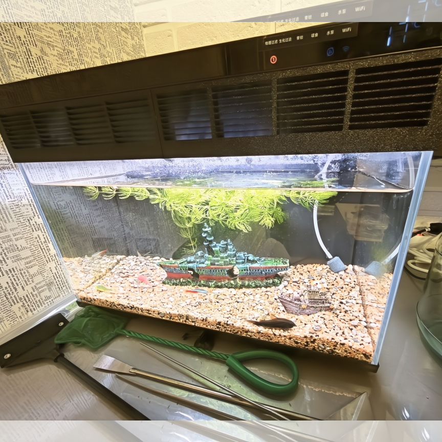 Продам аквариум с рыбками xiaomi myg100