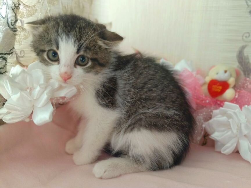 Мальчик в поиске дома