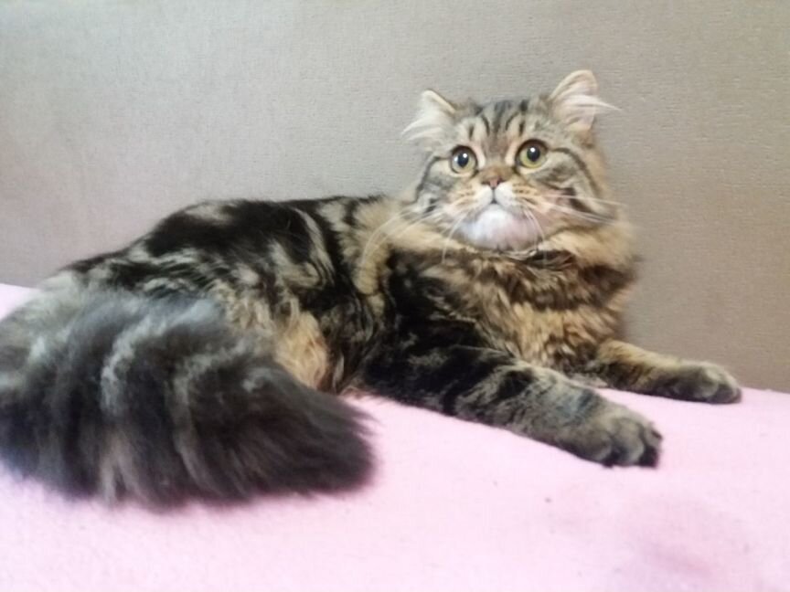 Маленькое чудо