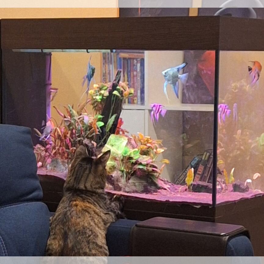 Аквариум с тумбой 120 литров