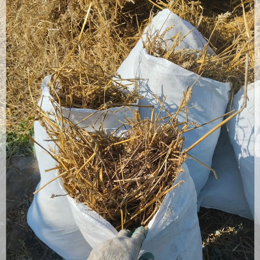 Солома в мешках
