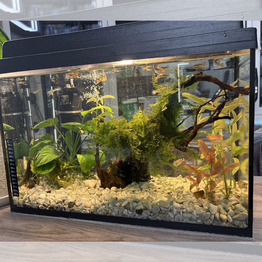 Аквариум 40 литров с крышкой