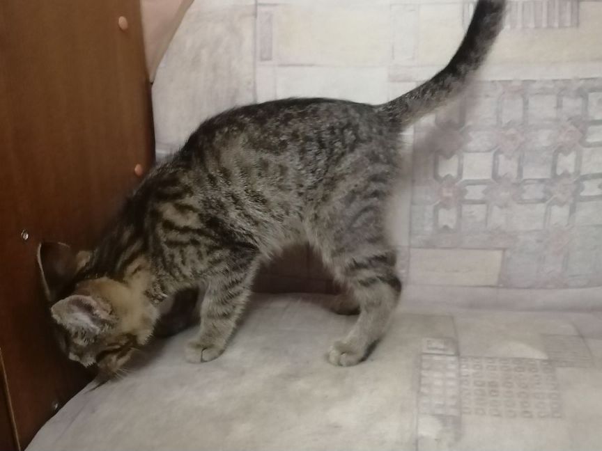 Мальчик 3 месяца