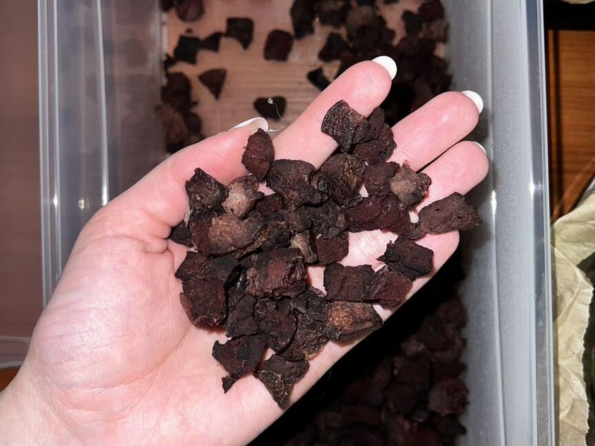 Лакомства для собак