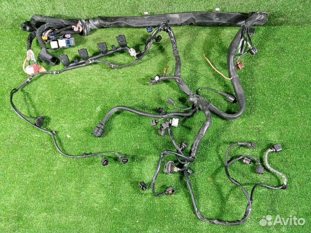 Проводка двигателя Audi A4 8E B7 BWE (2.0T) 2006 купить в Нижнем ...