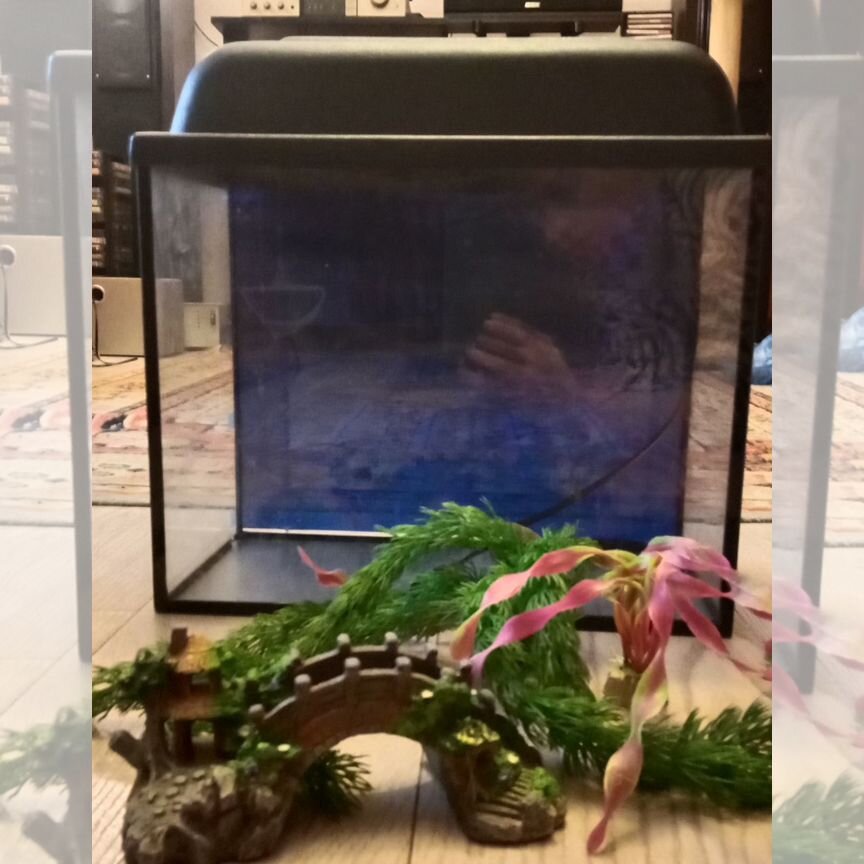 Аквариум 20 литров с наполнением