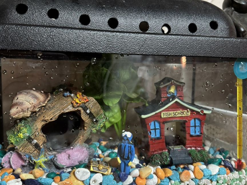 Аквариум 7 литров и декор