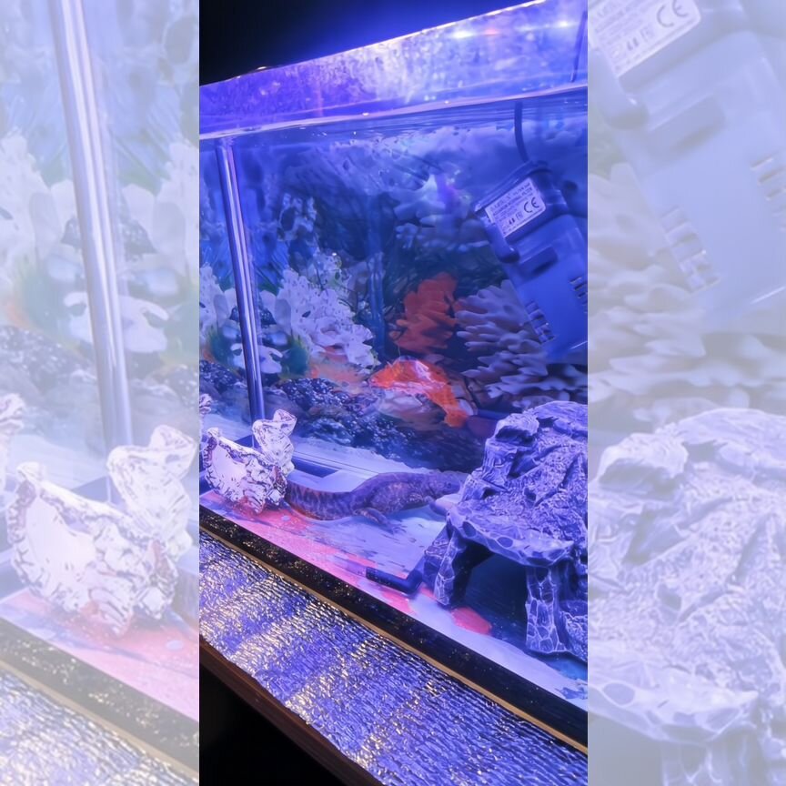 Аквариум 30 литров с крышкой